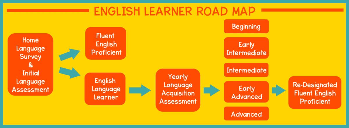 15 Common ELD Acronyms Explained - Literacy In Focus