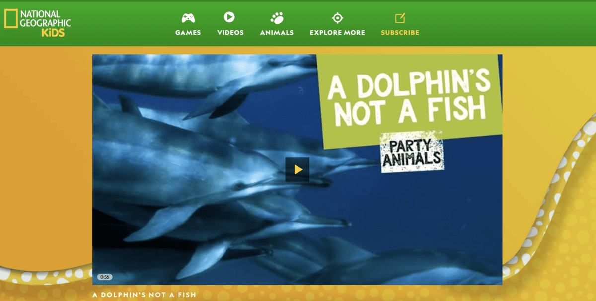 Safe and Free Online Research Websites for Kids - Literacy In Focus